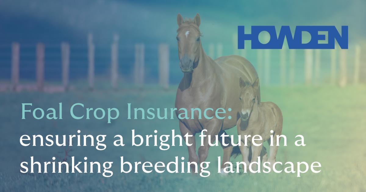 Foal Insurance: ensuring a bright future in a shrinking breeding landscape
