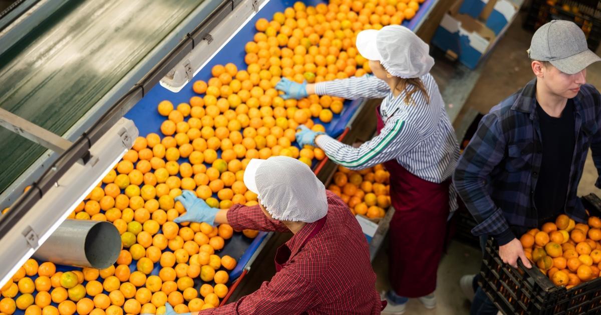 Food & Beverage | Howden Australia