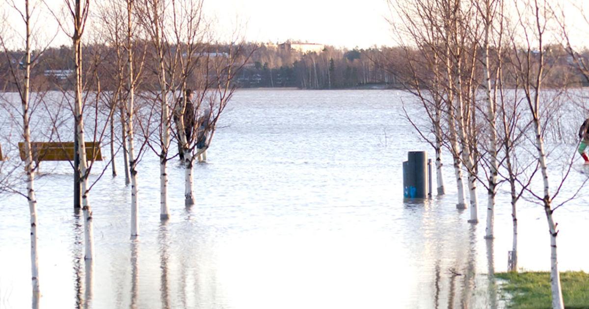 Tulvavedet vyöryivät taloyhtiön kellariin – korvasiko vakuutus mitään?