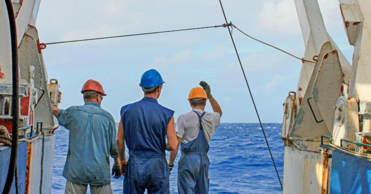 Décryptage du Décret n° 2024-1165