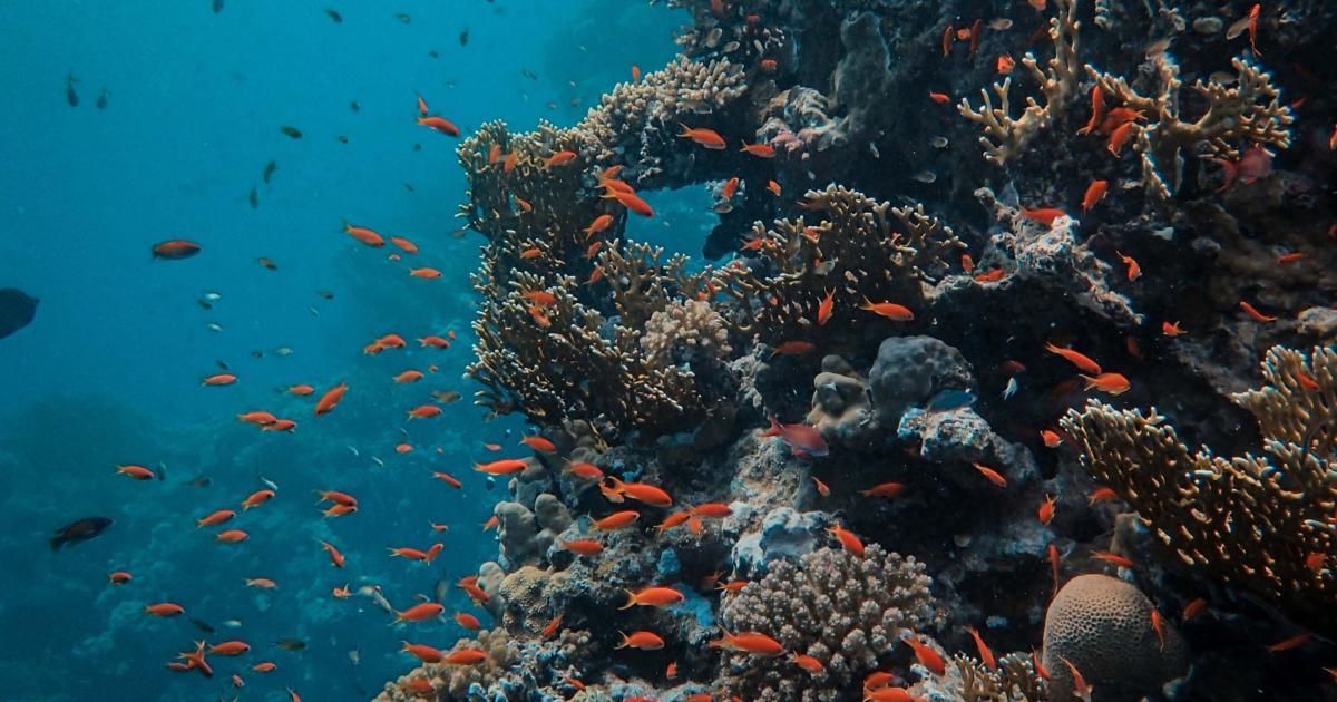 A Howden lança a prática global Climate Parametrics para reduzir o ...