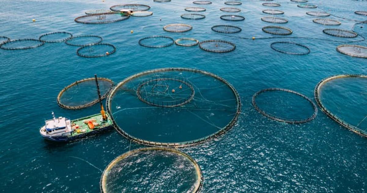 Aquaculture Industry Insurance