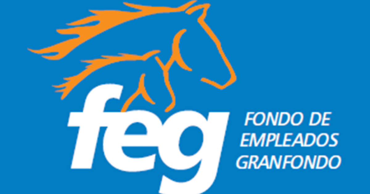 FEG digital Colombia