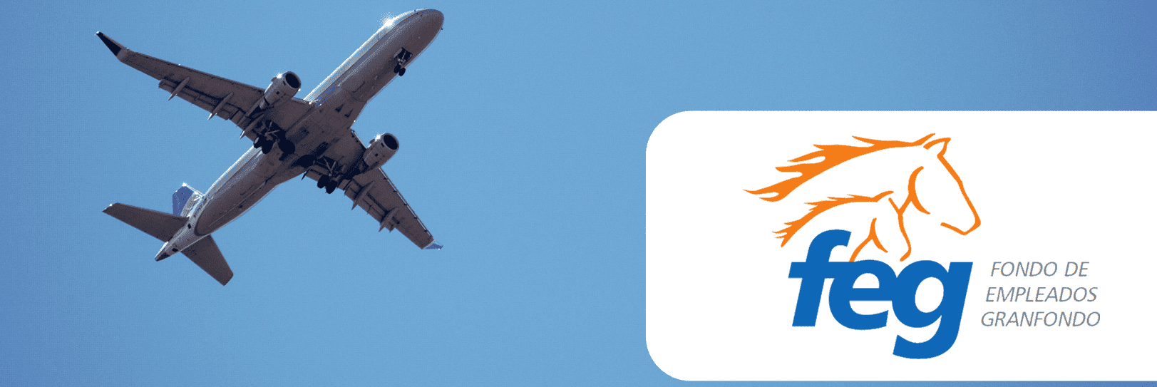 Asistencia de Viaje Internacional - FEG