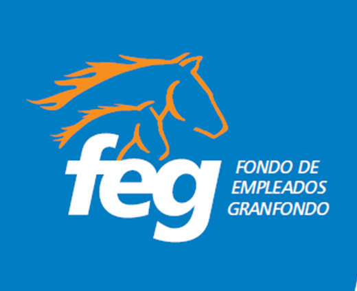 FEG digital Colombia