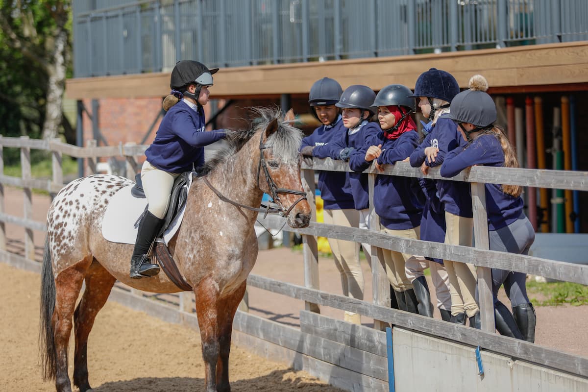 Branches | The Pony Club Insurance Hub