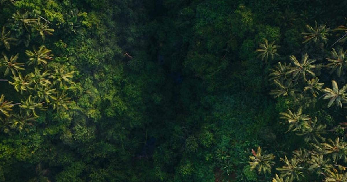 Insurance Critical to Mobilising Climate Transition Investment