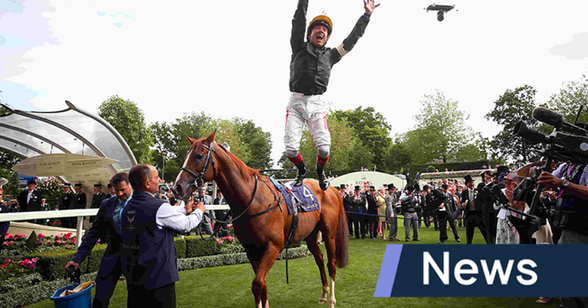 Howden announced as official partner of Ascot Racecourse | Howden Broking