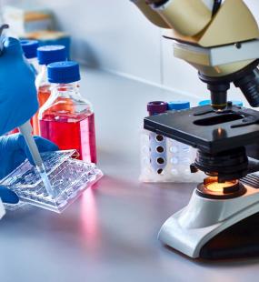 Howden Belgium Specialist Insurance Broker