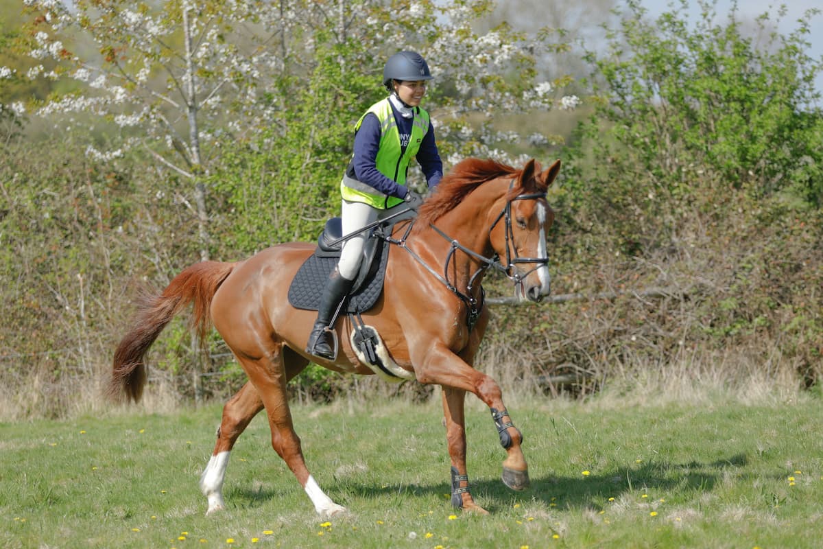 Members | The Pony Club Insurance Hub