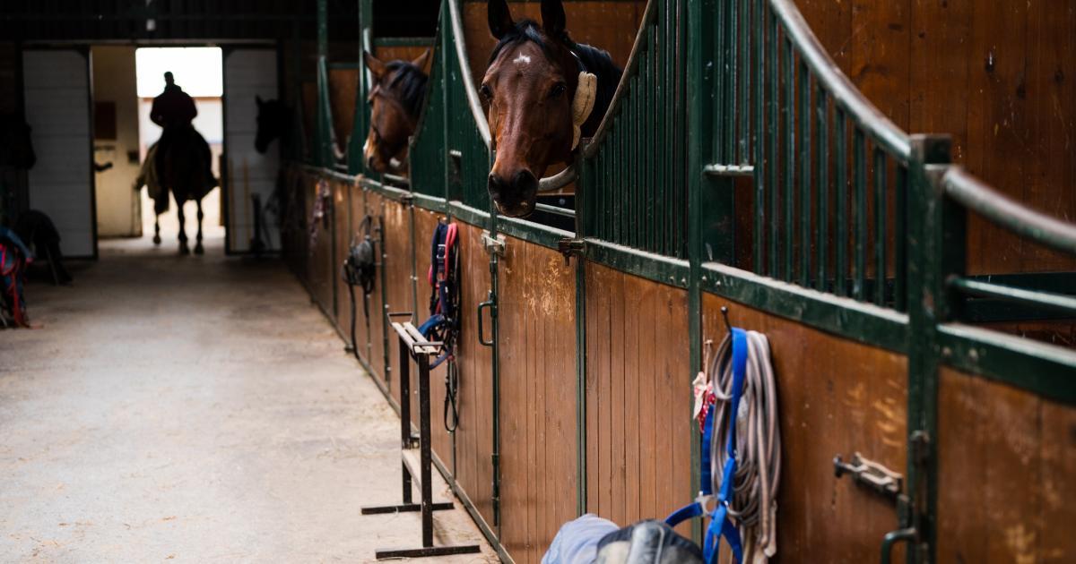 Howden Equine | Is your tack fully insured and is your tack room secure?