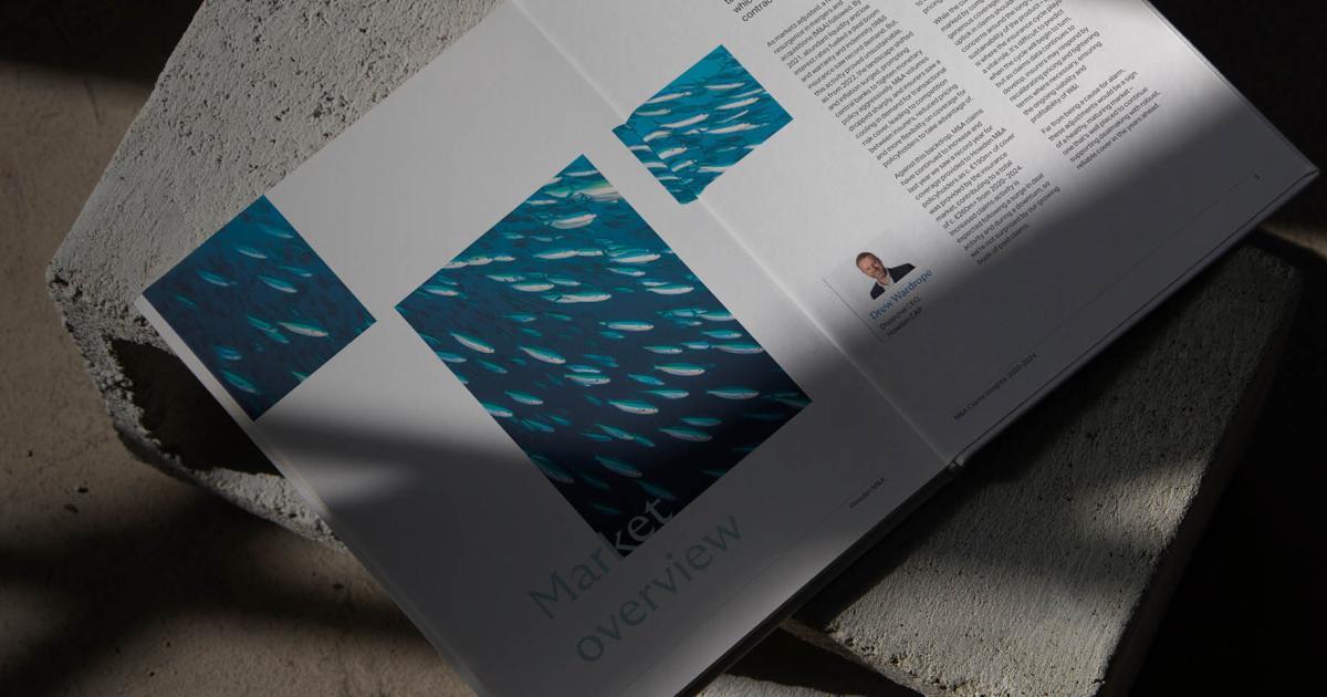 Howden M&A Claims insights