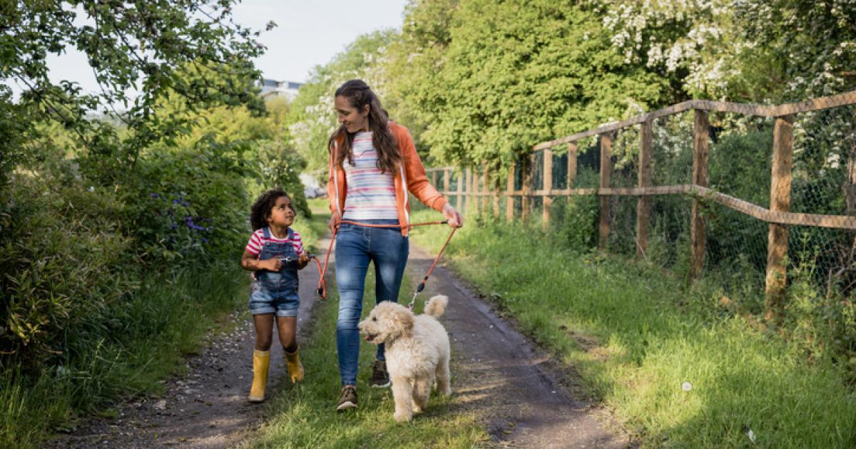 Aansprakelijkheidsverzekering | Howden Nederland