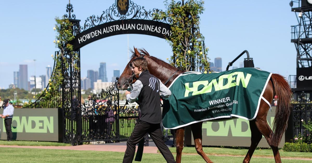 Equine insurance | Howden New Zealand