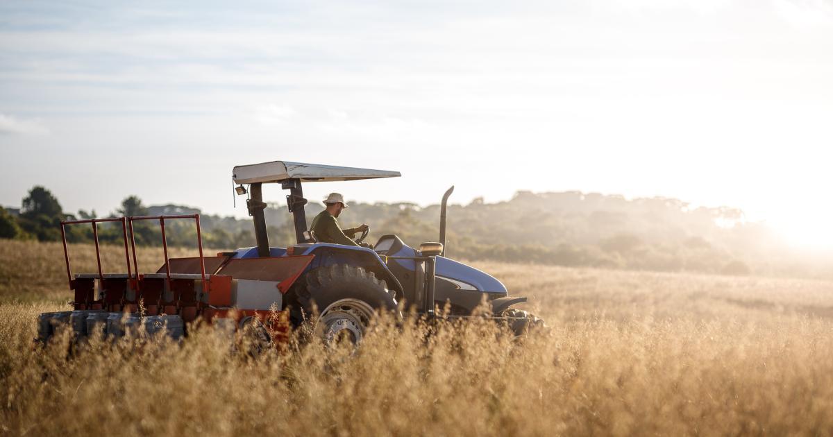 Seguro Agrícola | Howden Portugal