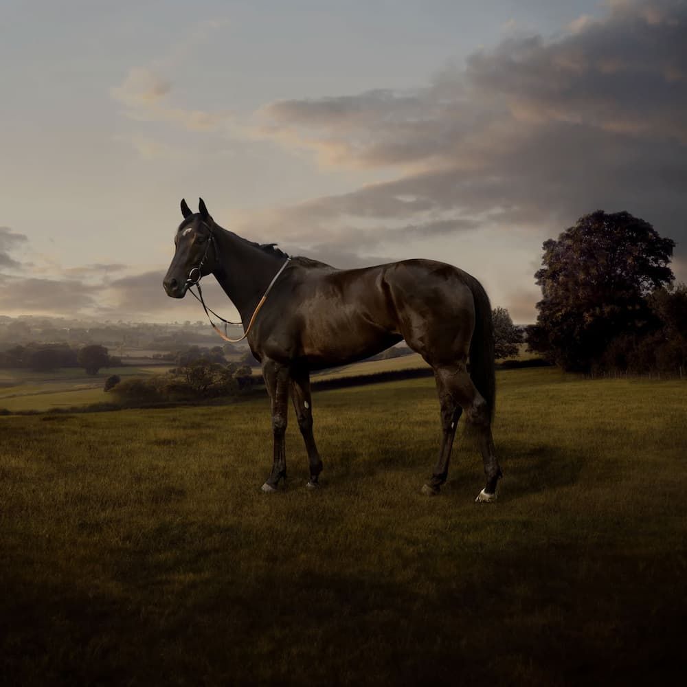 Howden UK - Business & Corporate Insurance